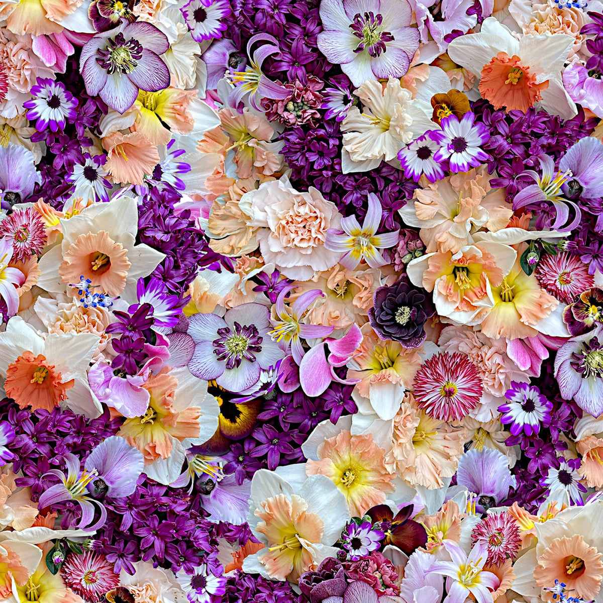 Hand Picked First Light – Tagged "fabric" – Lonesome Pine Quilts