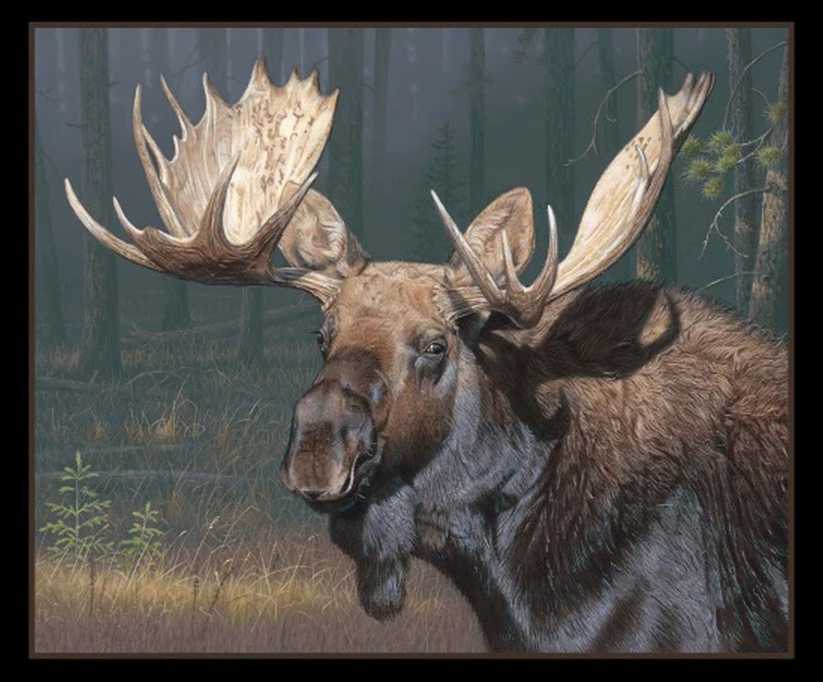 Too Close for Comfort 9707-Black 36"X44" Panel from Elizabeth Studios ...