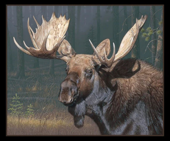 Too Close for Comfort 9707-Black 36"X44" Panel from Elizabeth Studios ...