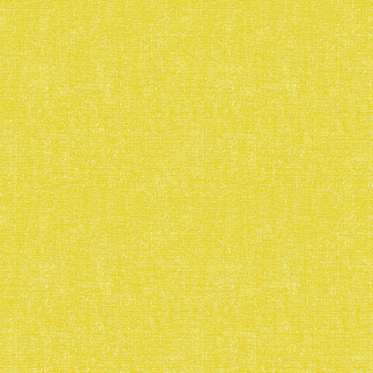Hand Picked First Light Yellow Blender Fabric MASD10150S from Maywood ...