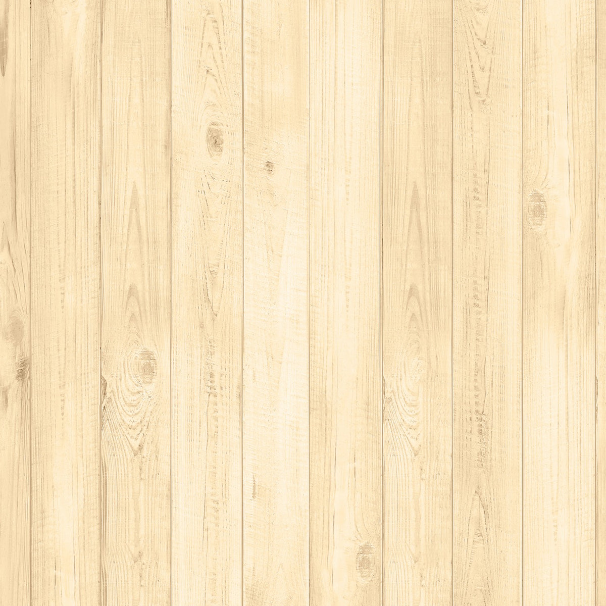 Light Wood Panel Texture