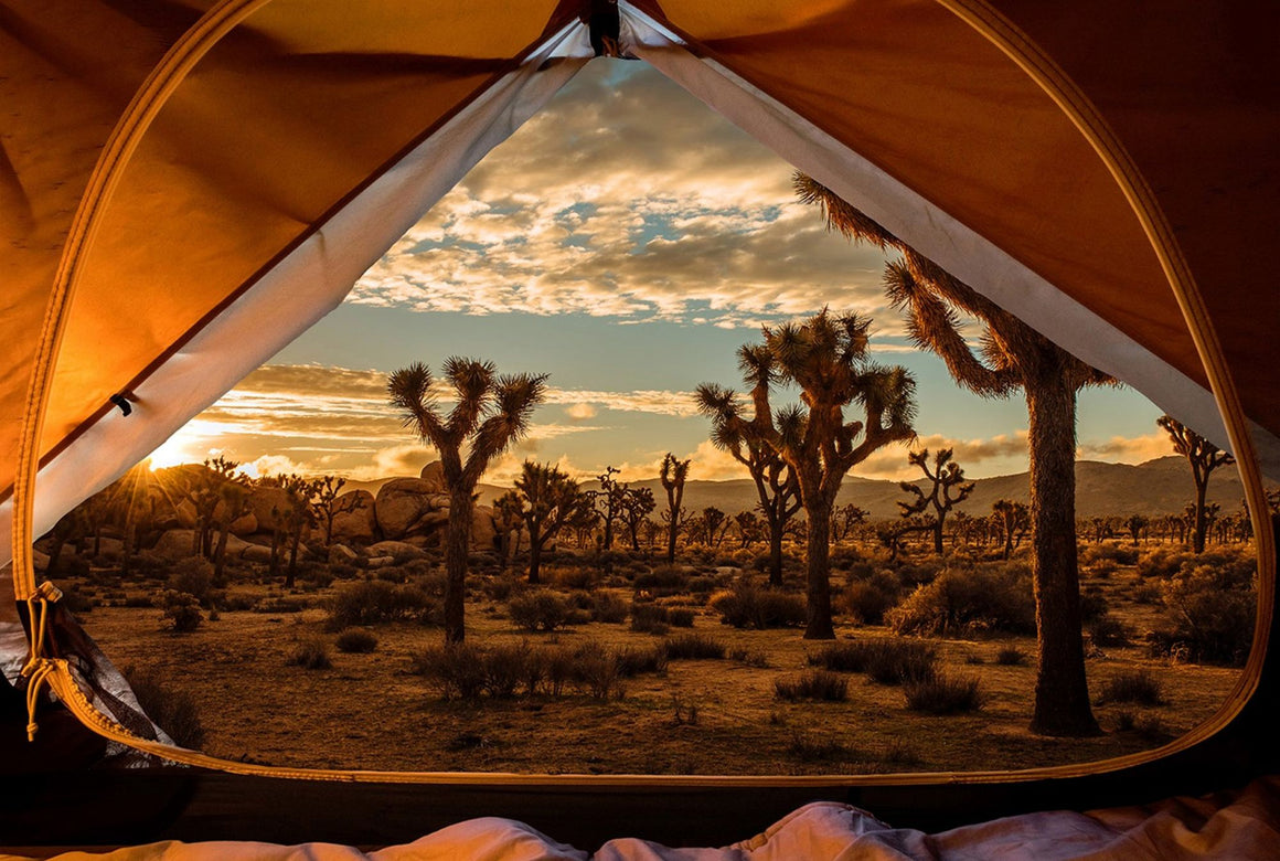 Sleeping Under The Stars Desert 30" x 44" panel U5076-193 from Hoffman ...